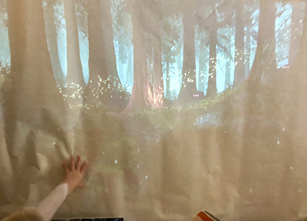 THE SPOOKY OLD TREE... - Stories with Miss Library