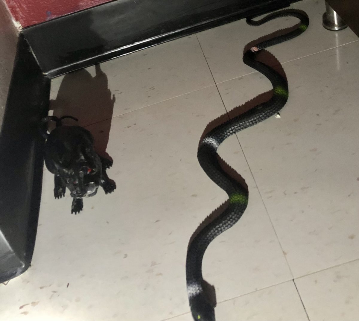 THE SPOOKY OLD TREE... - Stories with Miss Library