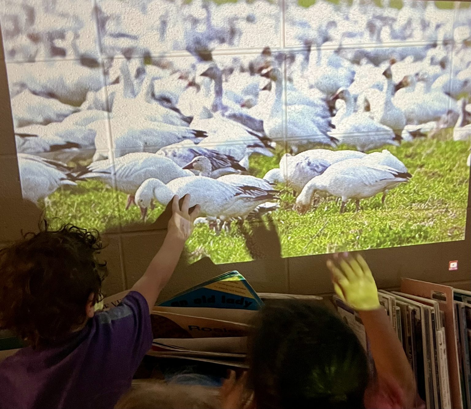 MOTHER GOOSE AND FRIENDS by Ruth Sanderson - Stories with Miss Library
