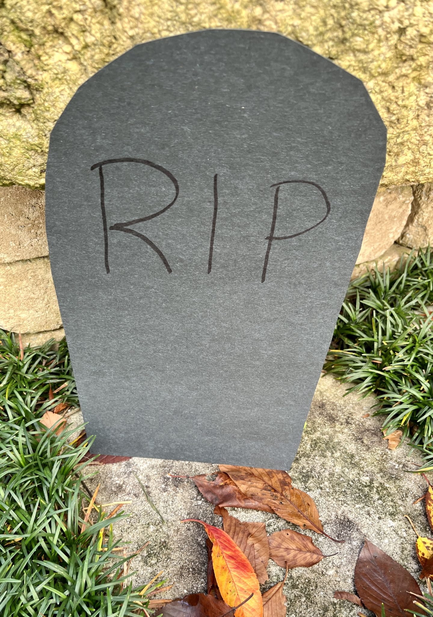 Spooky, Scary, Skeletons and Bones....Skeleton Hiccups and The Teeny ...