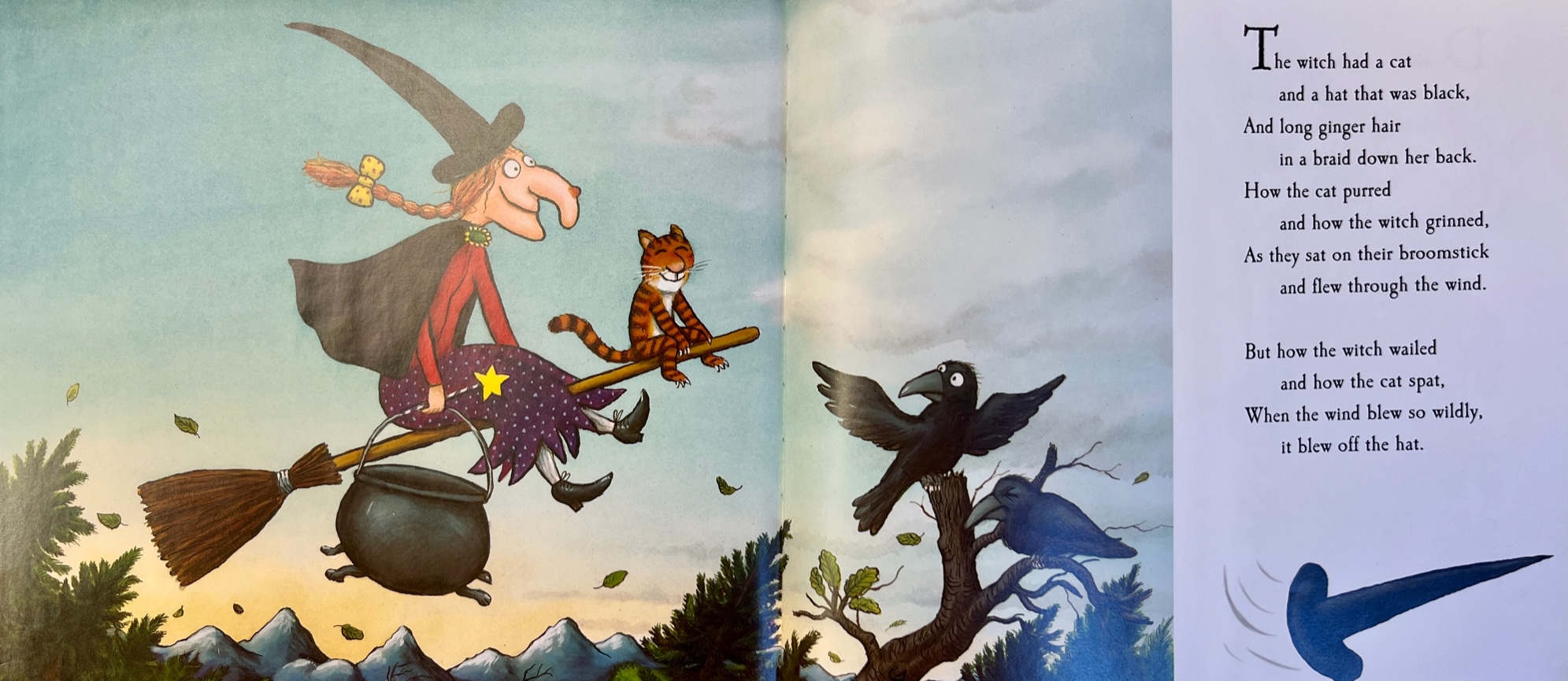 ROOM ON THE BROOM by Julia Donaldson, illustrated by Axel Scheffler ...