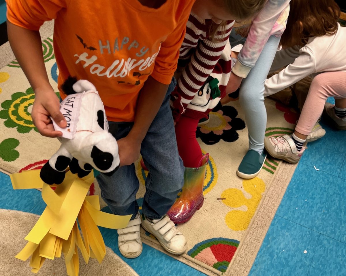 ROOM ON THE BROOM by Julia Donaldson, illustrated by Axel Scheffler ...