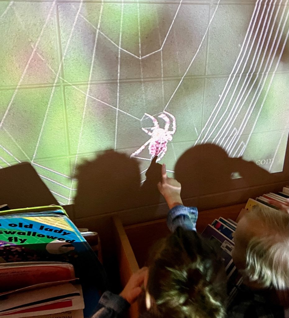 THE VERY BUSY SPIDER by Eric Carle - Stories with Miss Library