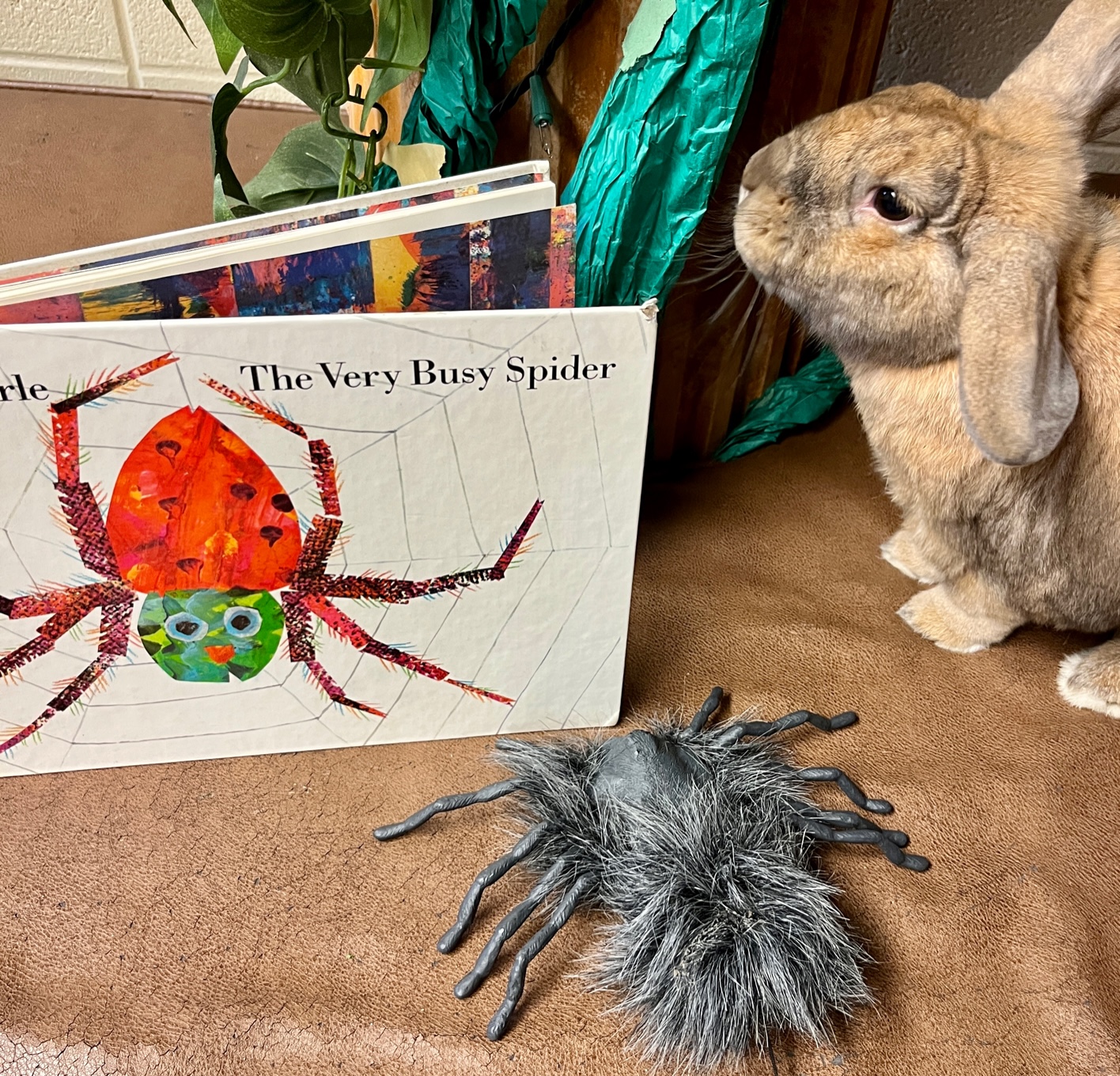 THE VERY BUSY SPIDER by Eric Carle - Stories with Miss Library