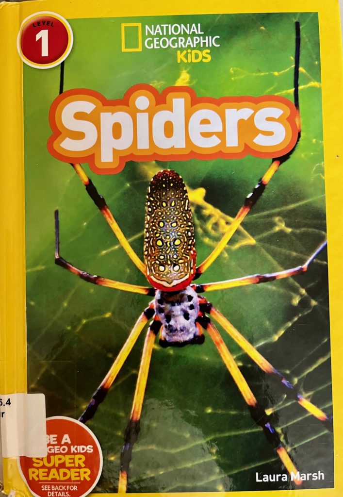 THE VERY BUSY SPIDER by Eric Carle - Stories with Miss Library