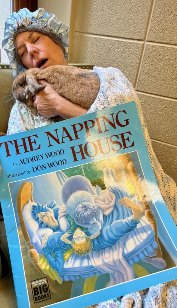 THE NAPPING HOUSE by Audrey Wood, Illustrated by Don Wood - Stories ...