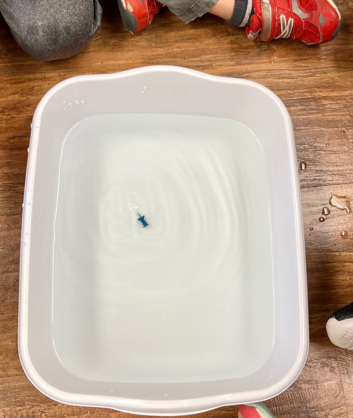 BE KIND by Pat Zietlow Miller, illustrated Jen Hill - Stories with Miss ...