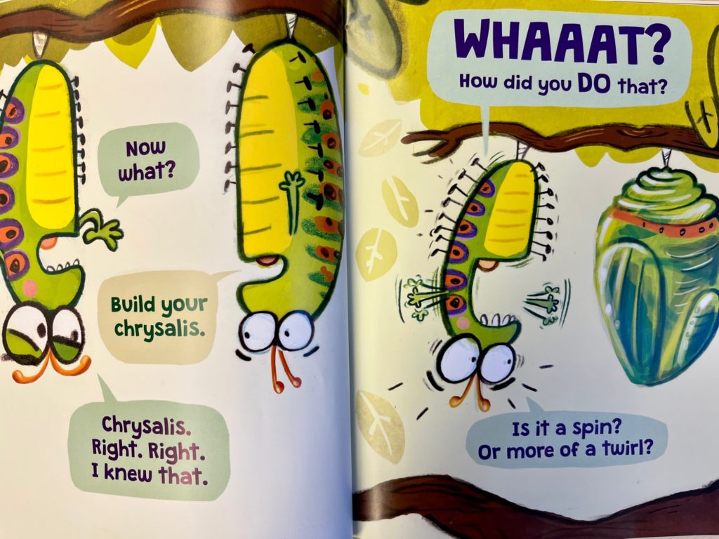 THE VERY IMPATIENT CATERPILLAR by Ross Burach - Stories with Miss Library