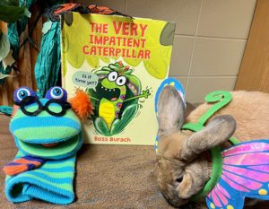 THE VERY IMPATIENT CATERPILLAR by Ross Burach - Stories with Miss Library